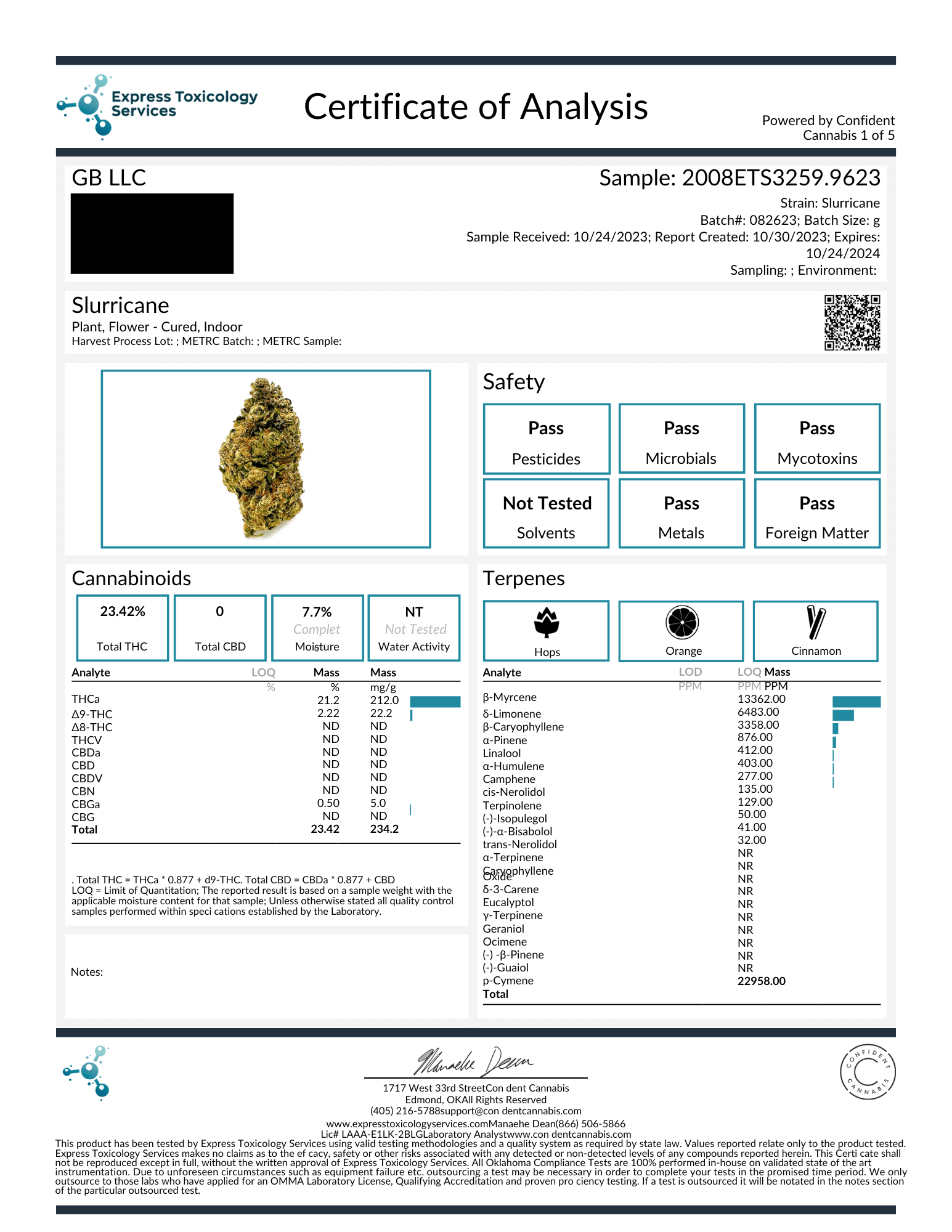 Proof – Get Bud Online USA