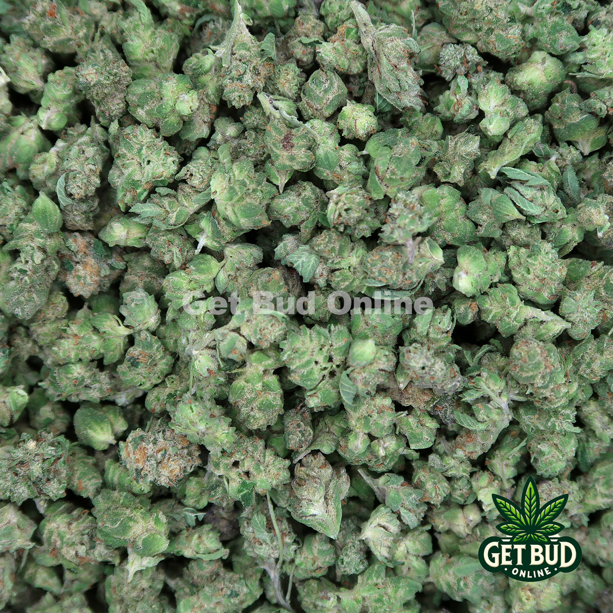 Indica Hybrid Strain – Get Bud Online USA