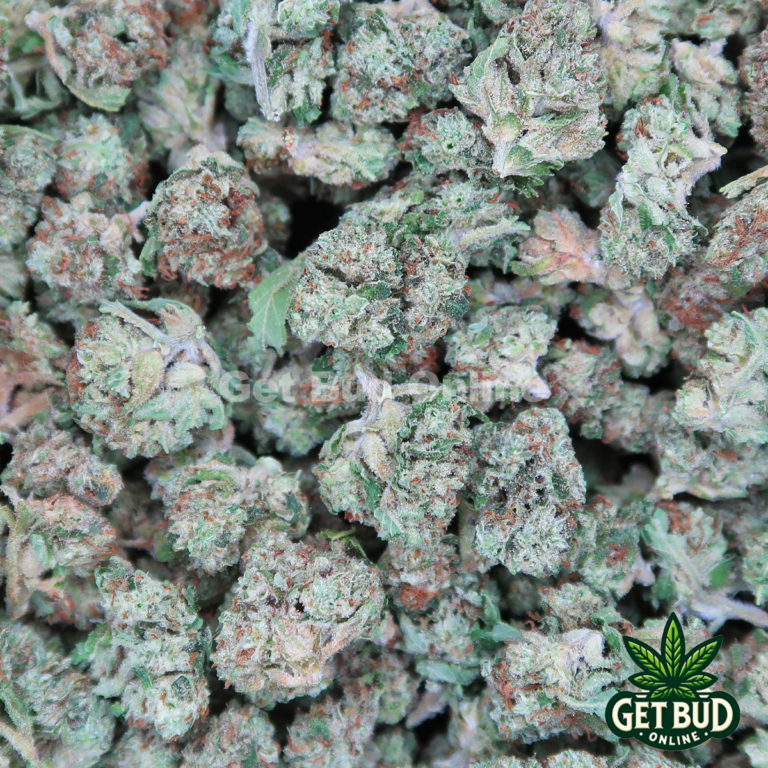 Jokerz (Small Buds) 🔥 OZ Only Deal 🔥 - Get Bud Online USA
