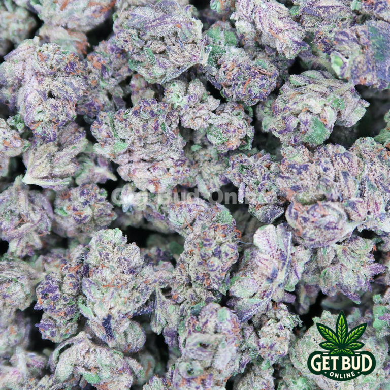 Tropical Runtz (Small Buds) 🏝 – Get Bud Online USA