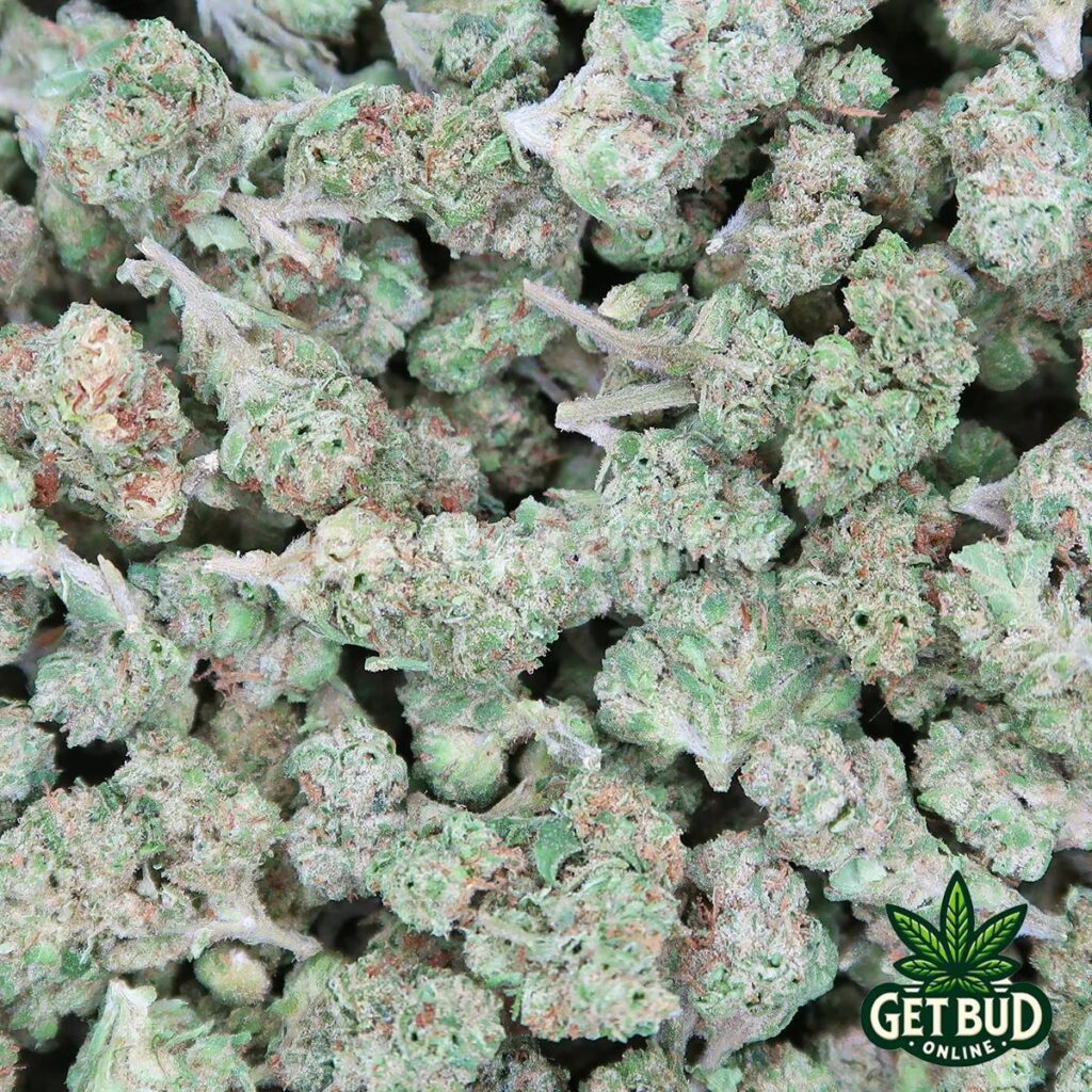 Runts (Small Buds) - Get Bud Online USA
