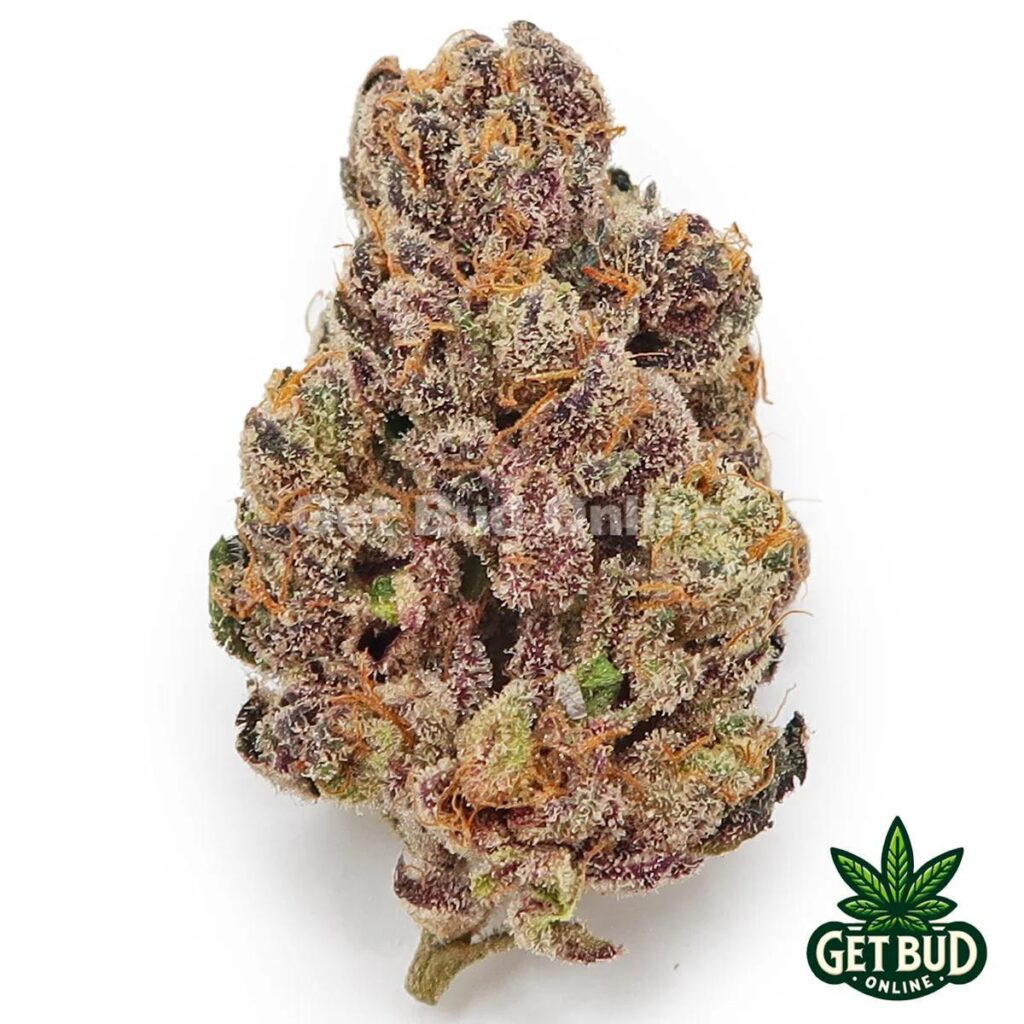 Zebra Ztripez (Exotic Strain) 💎🔥 - Get Bud Online USA