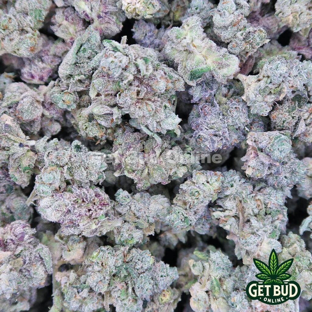 Grape Gelato (Premium Small Buds) 🔥 Ounce Deal 🔥 - Get Bud Online USA