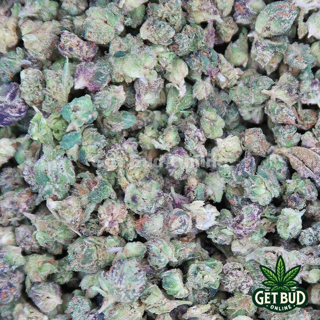 Gruntz 💧 (Micro Buds) 🔥 OZ Only Deal 🔥 - Get Bud Online USA
