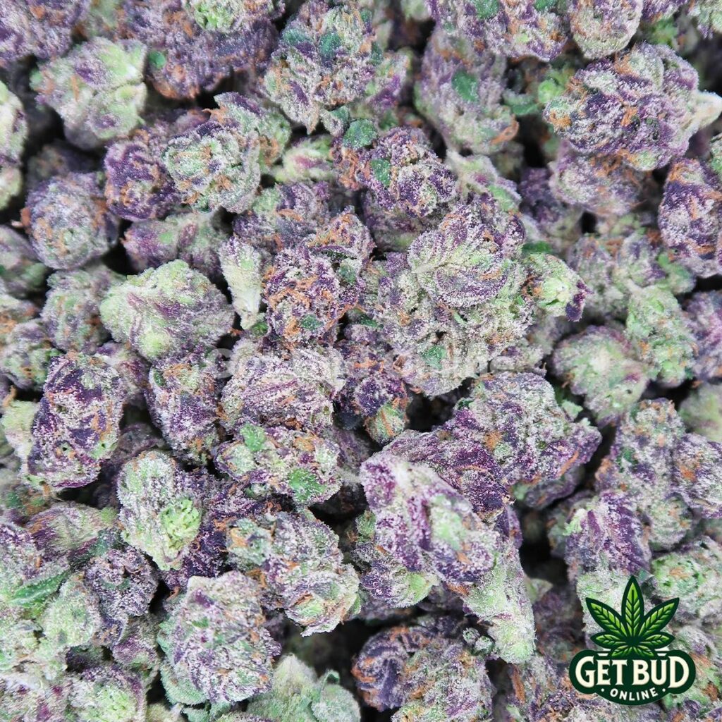 Pineapple Purple Skunk (Premium Small Buds) 🔥 Ounce Deal 🔥 - Get Bud ...