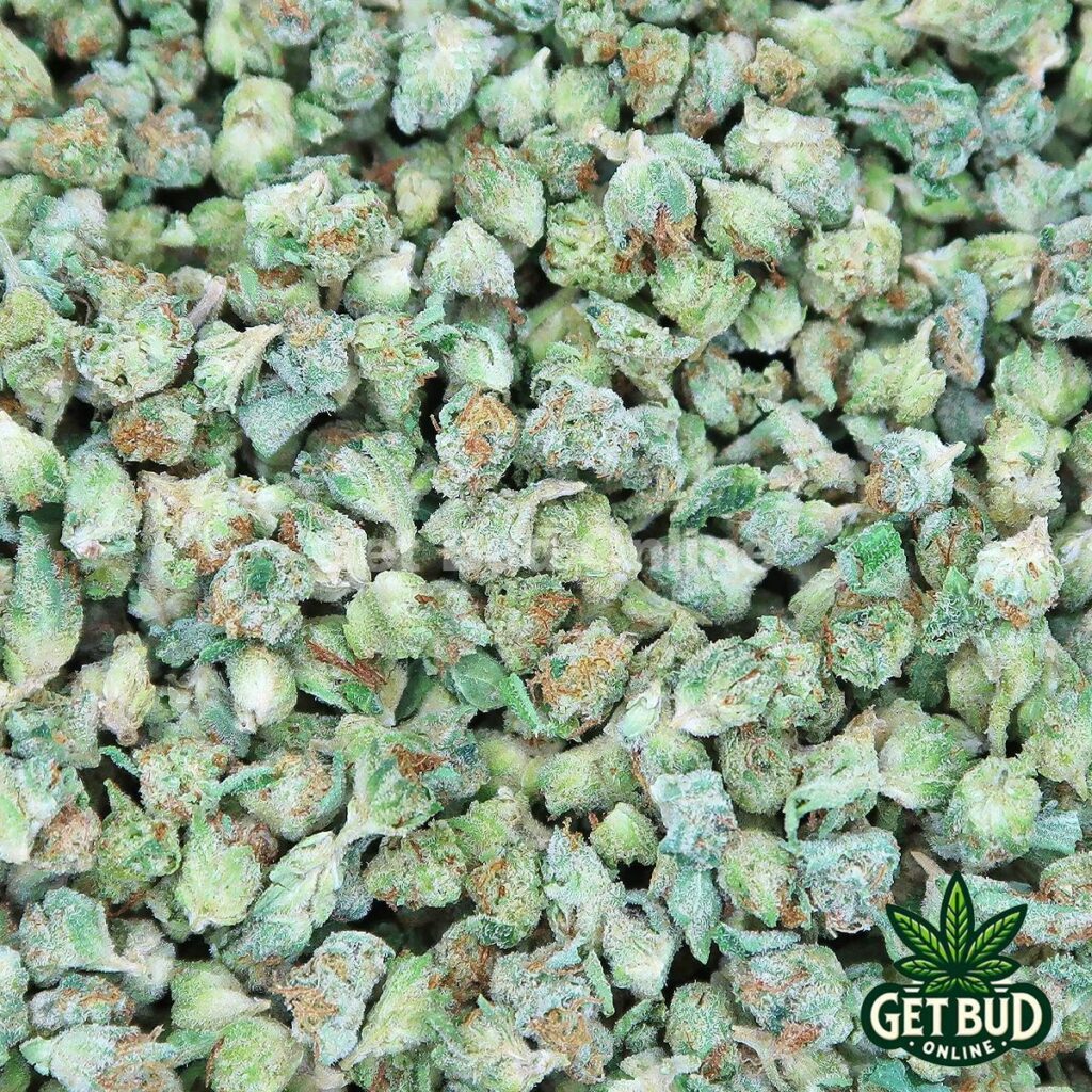 Mac N Cheese💧 (Micro Buds) 🔥 OZ Only Deal 🔥 - Get Bud Online USA