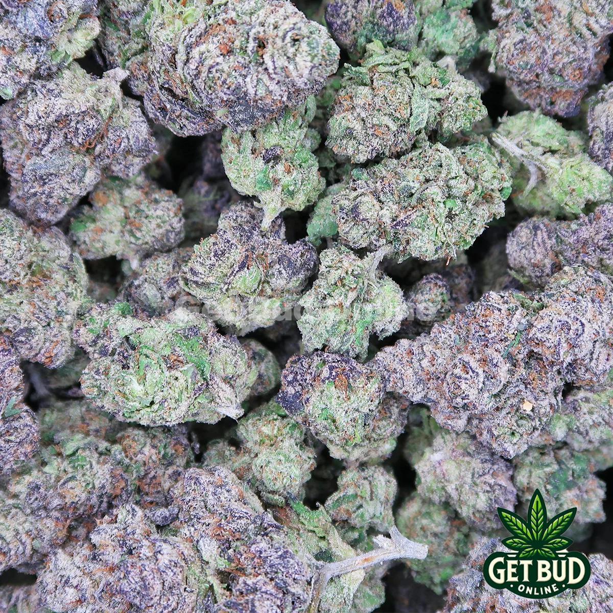 Blueberry Gumbo (Top Shelf Bud) 🔥 - Get Bud Online USA