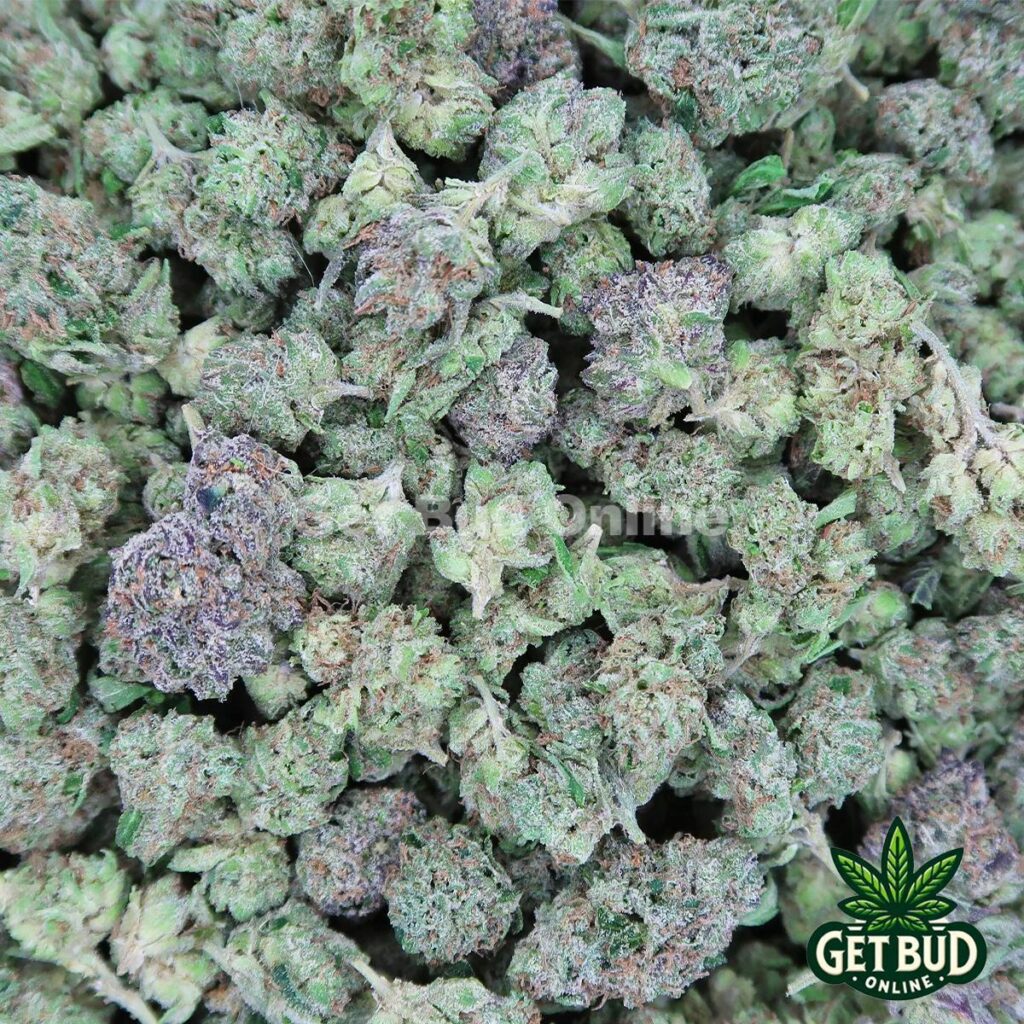 Runtz OG (Top Shelf Small Buds) Ounce Only Deal! - Get Bud Online USA