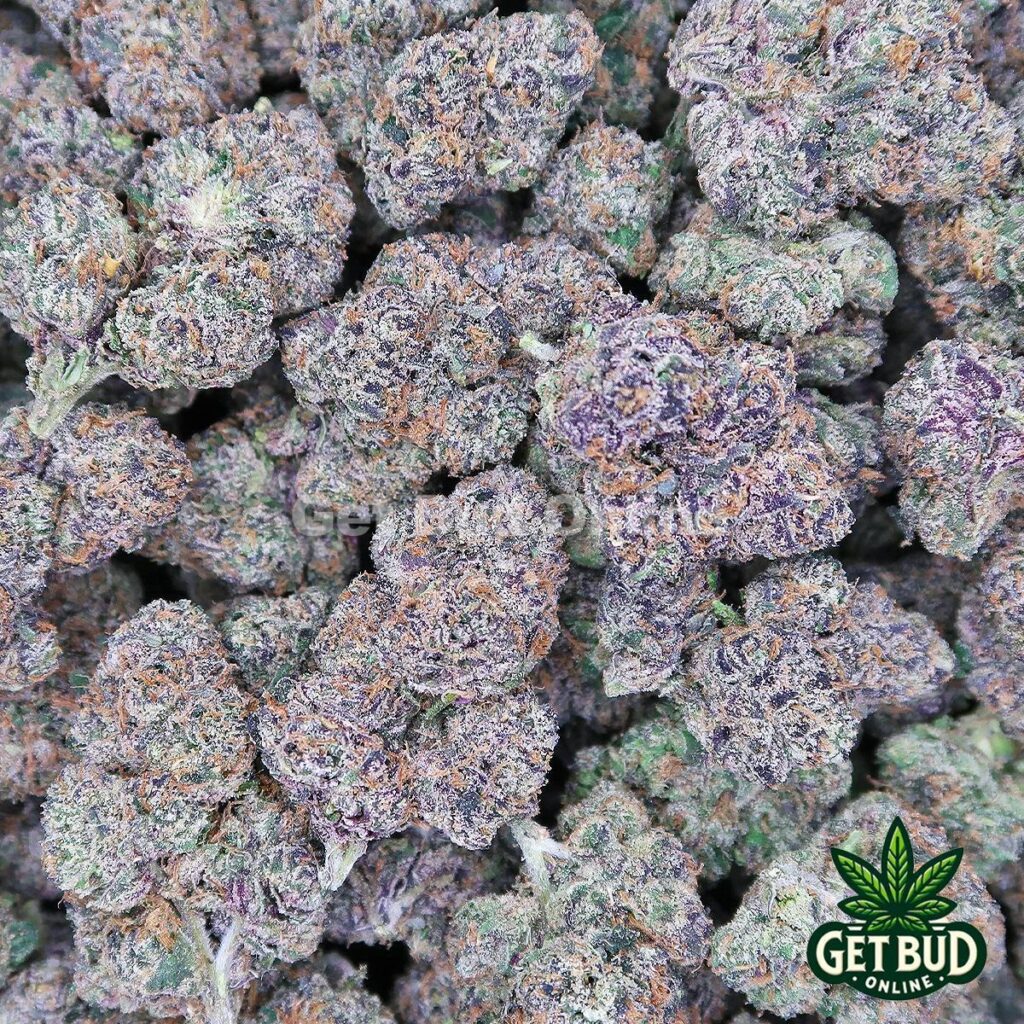 Runtz Cake 🔥 (Premium Bud) - Get Bud Online USA