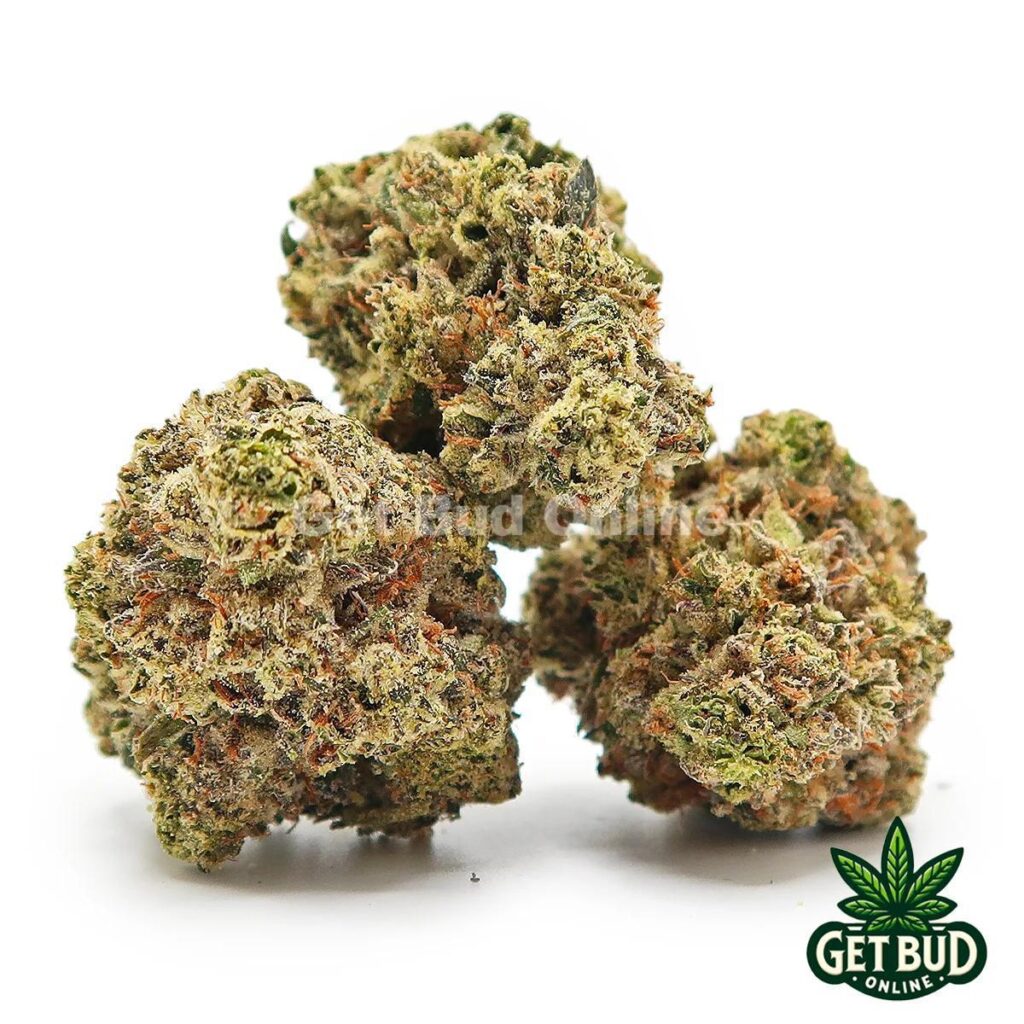 Master Kush (Top Shelf) - Get Bud Online USA