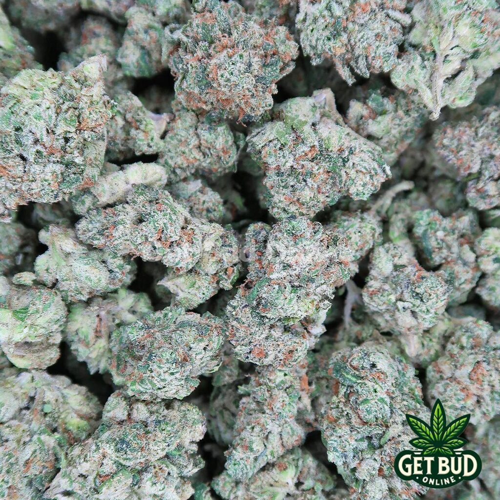Larry Bird (Top Shelf) - Get Bud Online USA